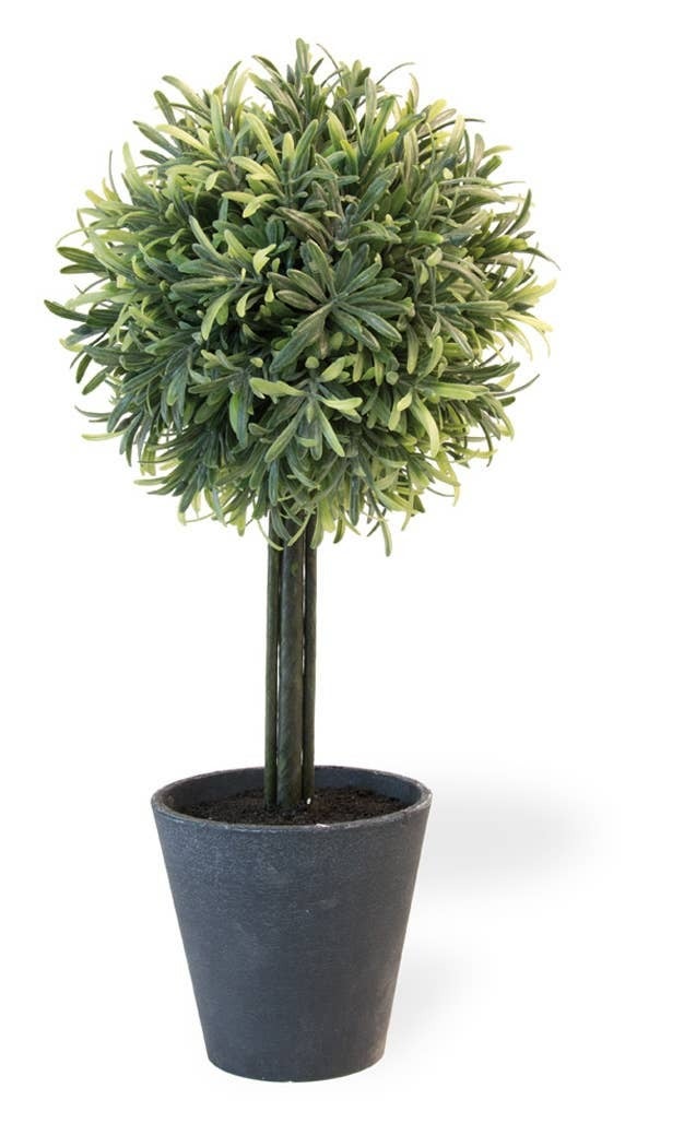 Rosemary Topiary | Simply Signs and Creative Customs